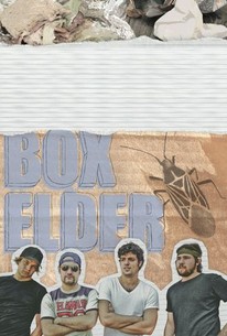 Box Elder | Rotten Tomatoes