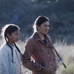 The Echo - Rotten Tomatoes