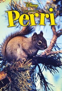 Perri (1957) - Rotten Tomatoes