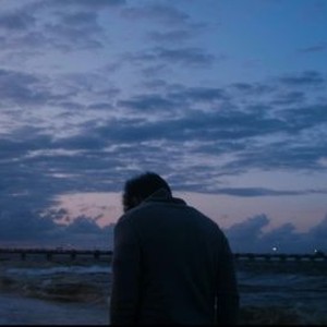 Strings - Rotten Tomatoes