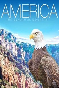 America: The Beautiful Country | Rotten Tomatoes