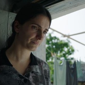 Hive - Rotten Tomatoes