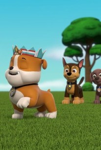 PAW Patrol: Season 10, Episode 10 - Rotten Tomatoes