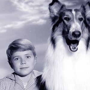 Lassie: Season 13, Episode 19 - Rotten Tomatoes