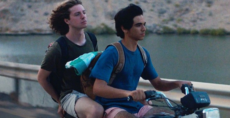 The Falconer - Rotten Tomatoes