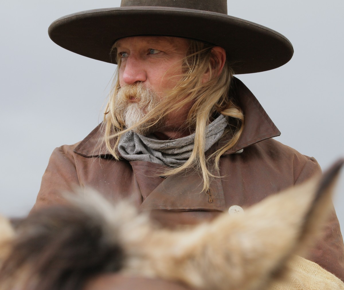 Jeffery Patterson - Rotten Tomatoes