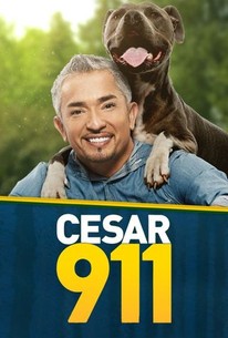 Cesar 911 - Rotten Tomatoes