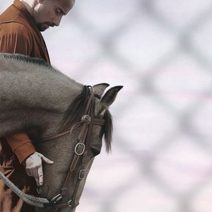 The Mustang - Rotten Tomatoes