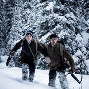 Josh Wiggins - Rotten Tomatoes