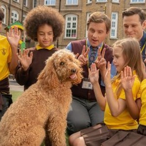 Waffle the Wonder Dog - Rotten Tomatoes