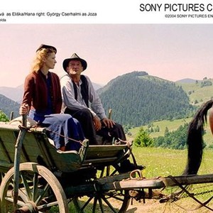 Zelary - Rotten Tomatoes