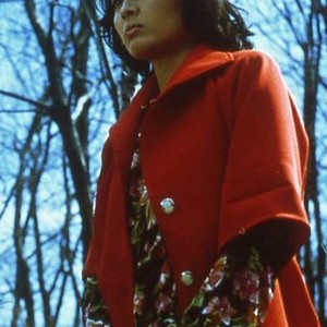 The Incident - Rotten Tomatoes