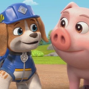 Rubble And Crew: Season 1, Episode 10 - Rotten Tomatoes