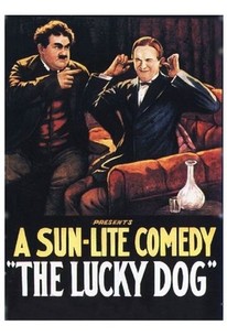 The Lucky Dog | Rotten Tomatoes