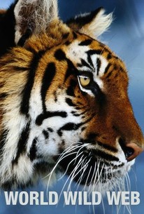 World Wild Web - Rotten Tomatoes
