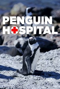Penguin Hospital | Rotten Tomatoes