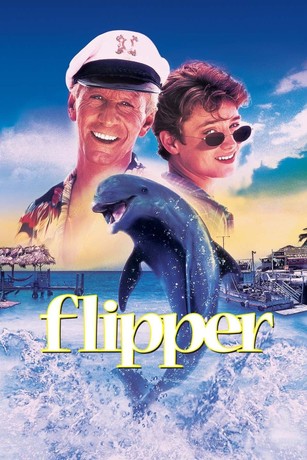flipper the dolphin