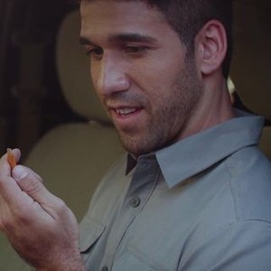 The Handyman - Rotten Tomatoes