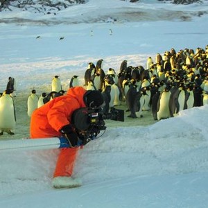 March of the Penguins - Rotten Tomatoes