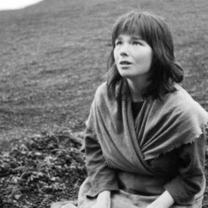 Björk - Rotten Tomatoes