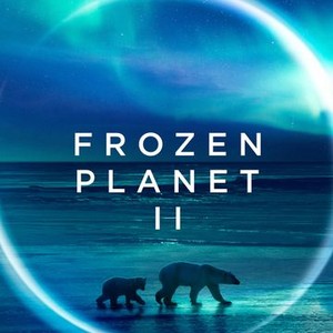 Frozen Planet II - Rotten Tomatoes