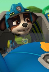PAW Patrol: Season 9, Episode 15 - Rotten Tomatoes
