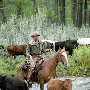 Open Range - Rotten Tomatoes