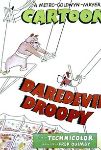 Daredevil Droopy | Rotten Tomatoes