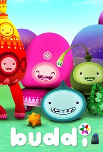 Buddi: Season 2 | Rotten Tomatoes