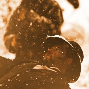 Gold Fever - Rotten Tomatoes