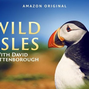 Wild Isles - Rotten Tomatoes