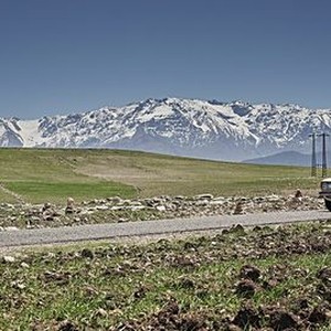 Ransomed - Rotten Tomatoes