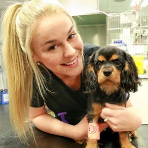Bondi Vet: Season 8, Episode 3 - Rotten Tomatoes
