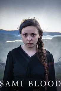 Sami Blood | Rotten Tomatoes