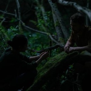 Here - Rotten Tomatoes