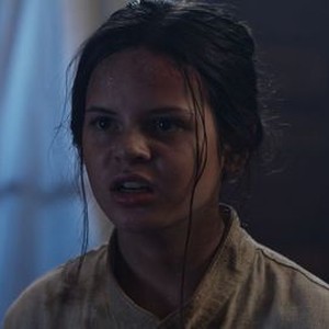 Homestead - Rotten Tomatoes