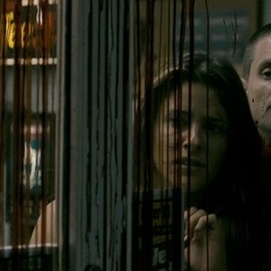 Splinter - Rotten Tomatoes