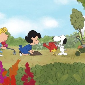 The Peanuts Classics: Season 1, Episode 6 - Rotten Tomatoes