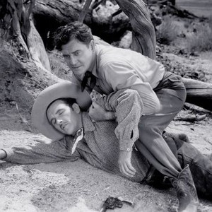 The Roundup - Rotten Tomatoes