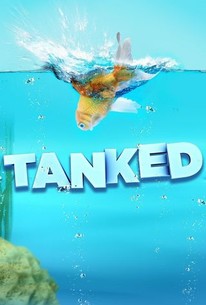 Tanked: Season 1 | Rotten Tomatoes