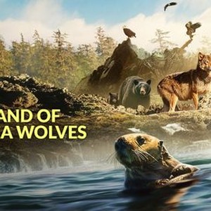 Island of the Sea Wolves: Season 1, Episode 3 - Rotten Tomatoes
