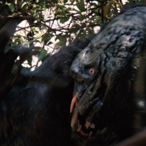 Clawed - Rotten Tomatoes