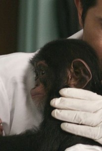 ER: Season 12, Episode 6 | Rotten Tomatoes