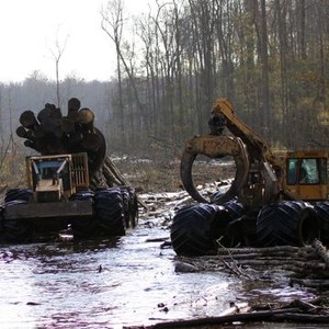 Swamp Loggers - Rotten Tomatoes