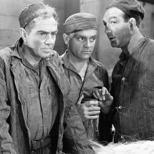 Stanley Ridges - Rotten Tomatoes