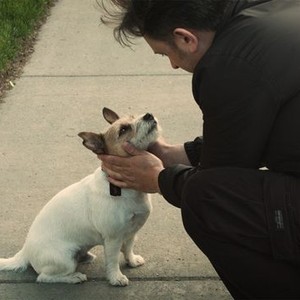 Dasher - Rotten Tomatoes