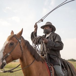 John Ware Reclaimed - Rotten Tomatoes