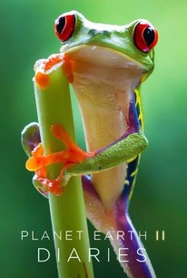 Planet Earth II: The Making Of: Season 1 | Rotten Tomatoes