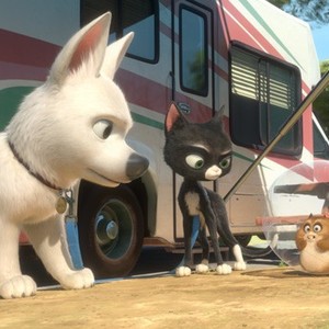 Bolt - Rotten Tomatoes