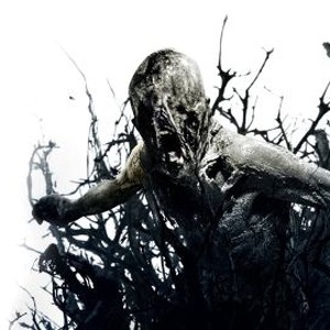 Discarnate - Rotten Tomatoes